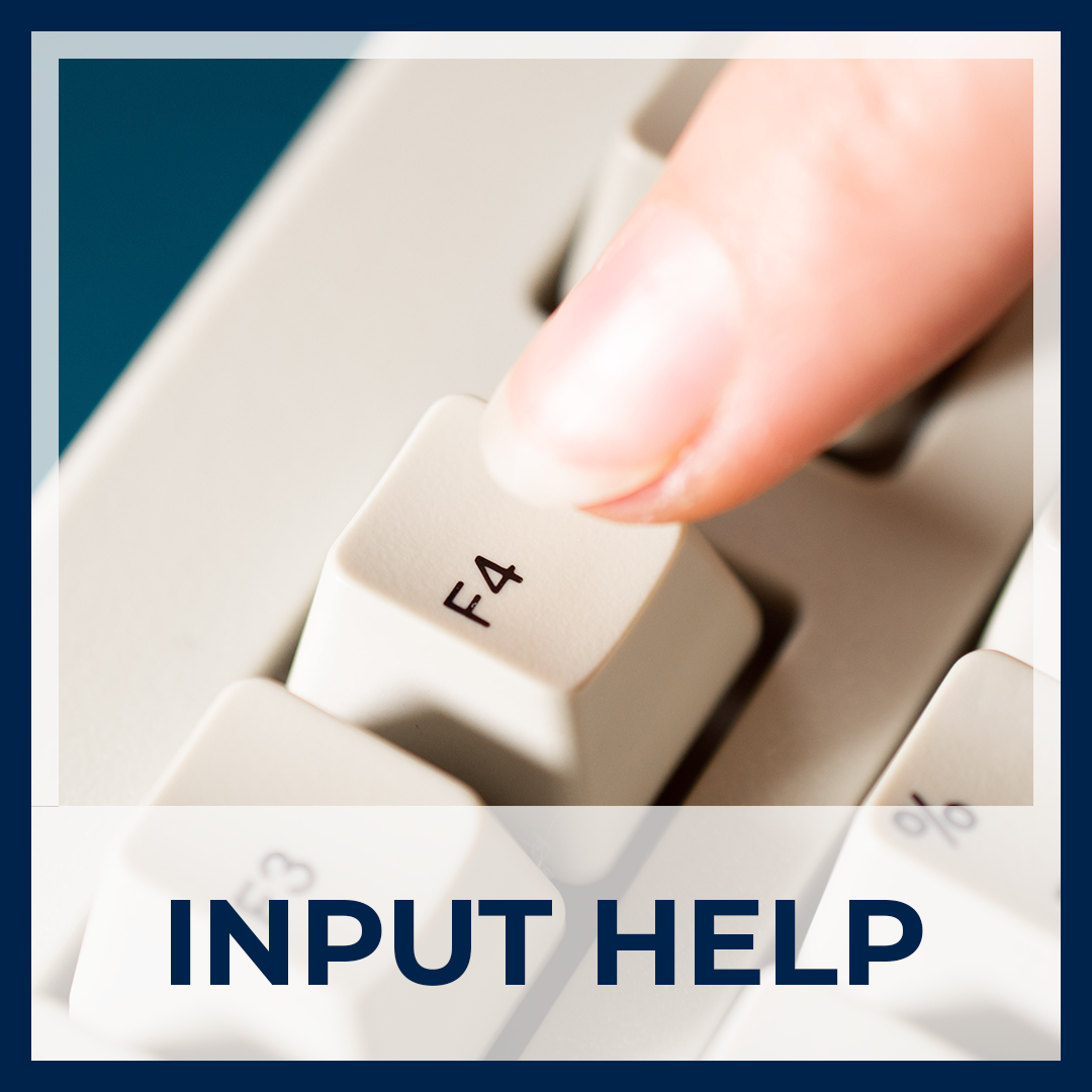 Custom input helps | Laurix Consulting